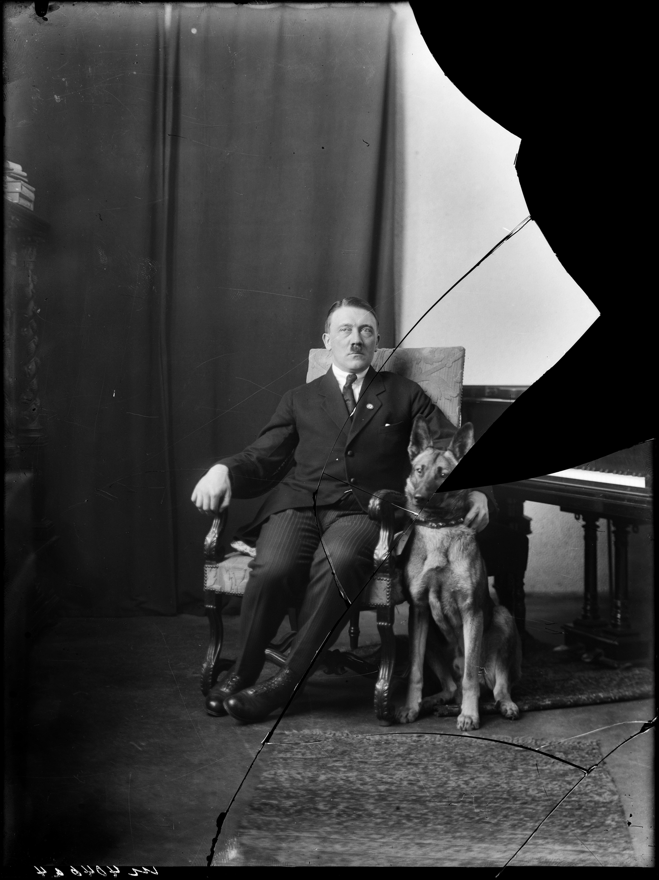 Hitler Archive | Portrait of Adolf Hitler in 1923 with his dog Wolf ...
